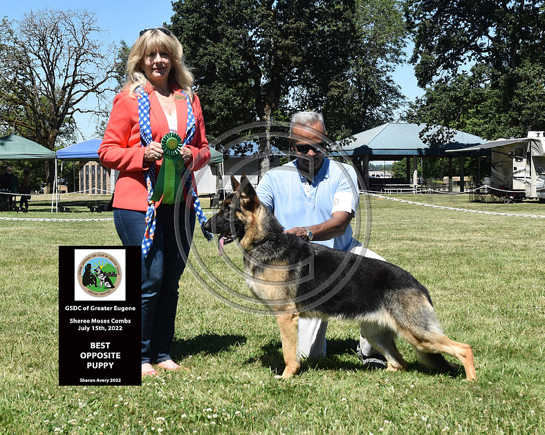 Sharon and Michael Avery | GSDC Greater Eugene - Sheree Moses Combs
